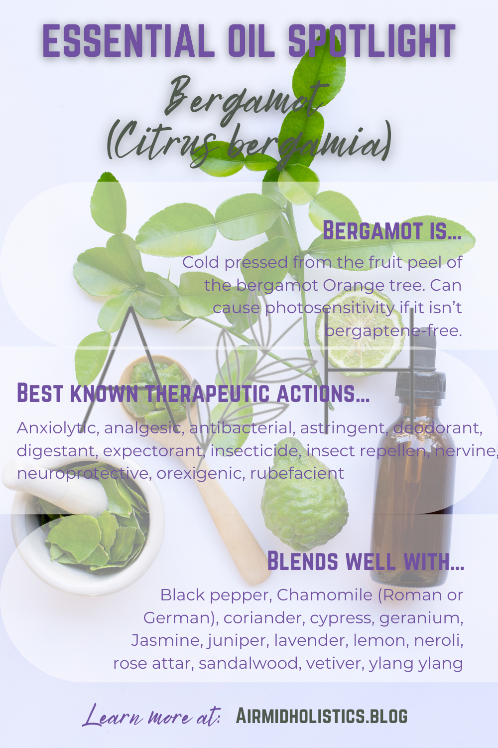 Essential Oil Spotlight: Bergamot (Citrus bergamia) – Better Living ...